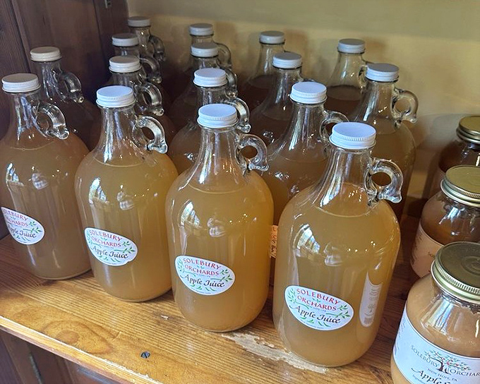 Apple juice so fresh and golden, it makes store-bought versions look like distant, sad relatives. Pure orchard magic in glass bottles.