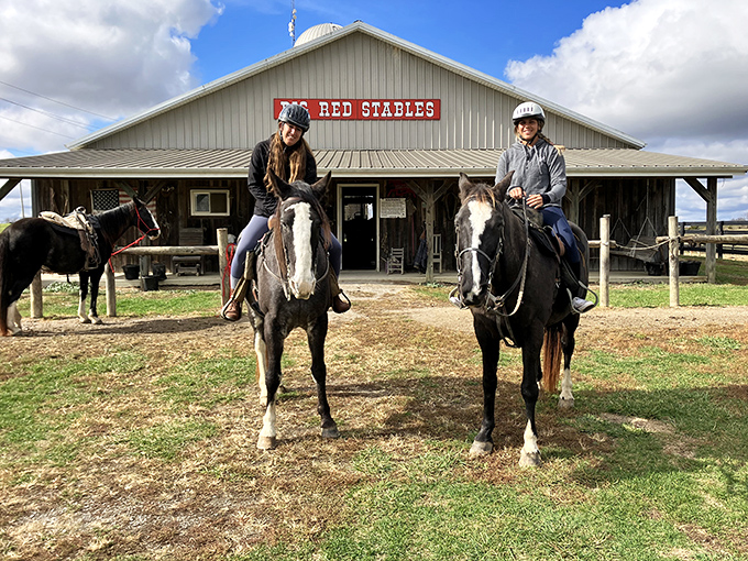 At Big Red Stables, these majestic horses aren't just for looking at&mdash;they're your ticket to experiencing Kentucky's rolling countryside the way nature intended.