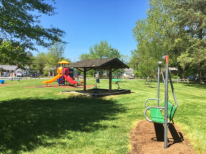 Bradley Park proves that not all treasures in Saint Michaels float on water. This community playground offers respite for parents whose kids need to burn energy.
