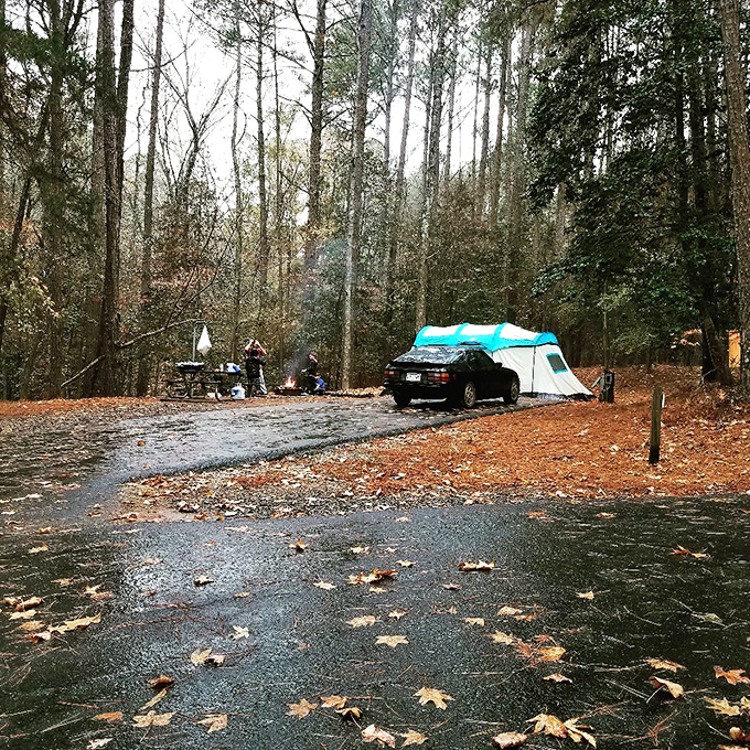 Spacious campsites mean you can pretend to be a wilderness expert without your neighbors watching you struggle with the tent.