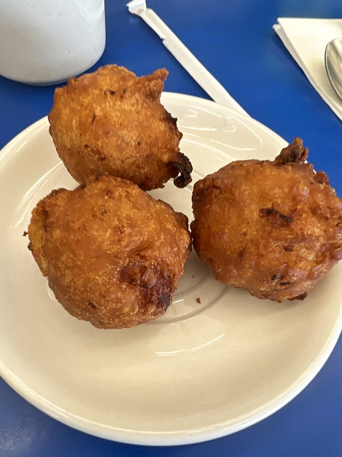 Clam cakes: Rhode Island's answer to the donut hole. Golden, crispy spheres of happiness that taste like the ocean decided to hug some dough.