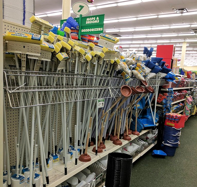 The cleaning tool armada stands ready for battle. From mysterious kitchen spills to bathroom situations we don't discuss in polite company&mdash;they've got you covered.