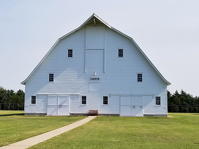 The magnificent Cooper Barn stands as Kansas' largest barn, a gleaming white monument to agricultural heritage and prairie ingenuity.
