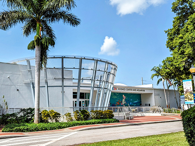 The Cox Science Center makes learning fun, which is exactly what science museums should do everywhere.