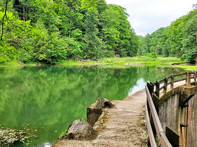 Summer turns the park into a lush green sanctuary where the water reflects the trees like nature's own meditation app.