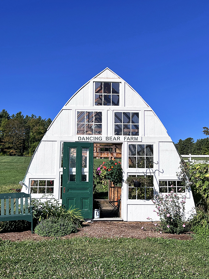 Dancing Bear Farm's distinctive A-frame greenhouse stands like a bright beacon of agricultural charm, where plants and possibilities flourish under New Hampshire skies.