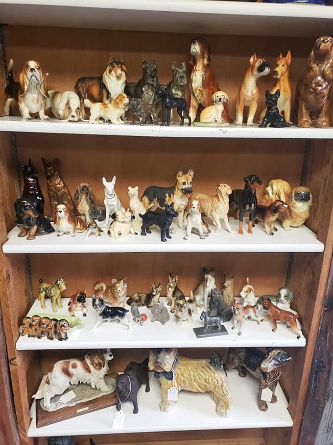 A parliament of ceramic pups standing at attention, waiting for someone to take them home after decades of loyal shelf service.