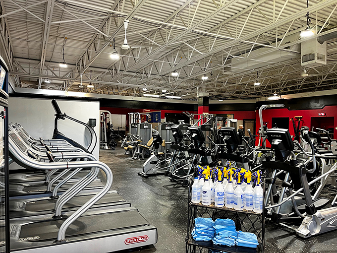 Cairo's commitment to active living shines in this modern fitness center, proving retirement doesn't mean slowing down&mdash;it means having more time for treadmill gossip.