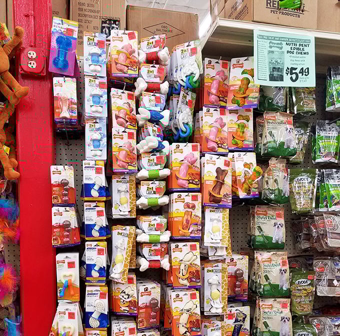 Pet supplies that prove even Fido deserves designer-adjacent products without the designer-adjacent price tag.