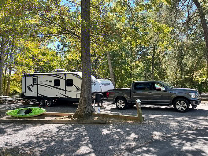 The ultimate camping setup: RV comfort meets forest tranquility. Where "roughing it" means the Wi-Fi might be spotty.