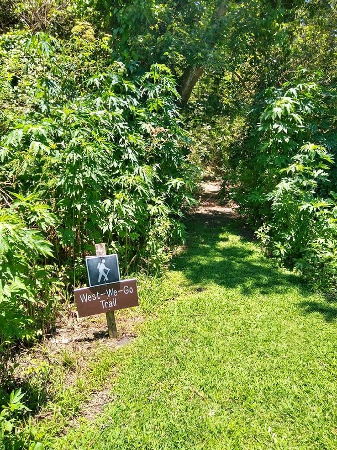 The aptly named "West-We-Go" trail beckons with its green tunnel of adventure. No GPS needed&mdash;just curiosity and comfortable shoes.