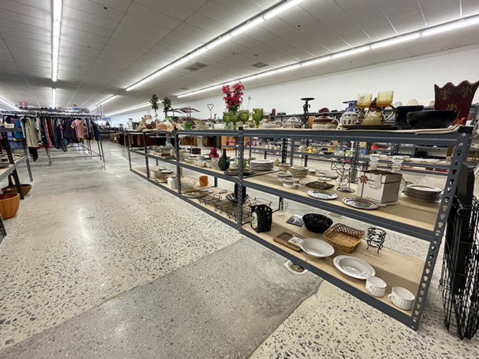 Everyday treasures lined up like soldiers, waiting for their next deployment to someone's kitchen. That casserole dish has potluck potential written all over it.