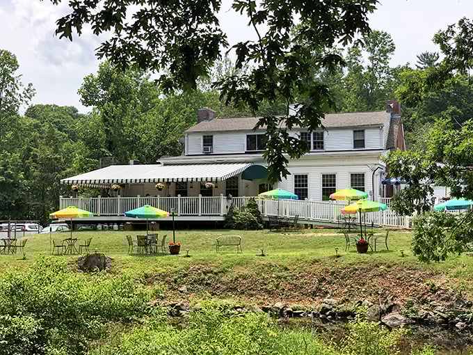 Jesse Camille's Restaurant offers riverside dining with colorful umbrellas dotting a spacious patio. The perfect spot to enjoy a meal while watching the gentle flow of the Naugatuck River.
