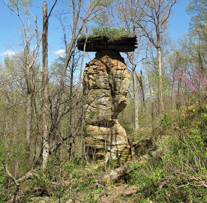 Jug Rock stands like nature's sculpture, a sandstone testament that Indiana can surprise you with geological wonders when you least expect it.