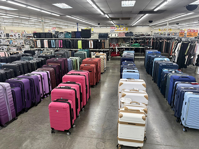 Travel in style without the first-class price tag&mdash;these rainbow rows of luggage promise adventures without the pre-trip financial stress.
