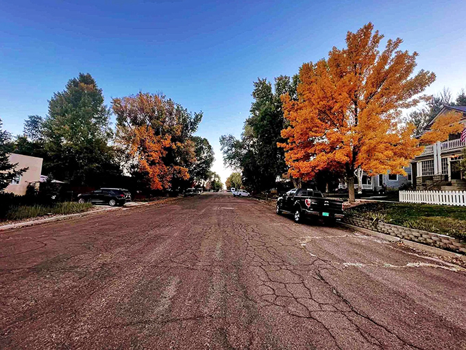 Fall paints Raton's residential streets with golden brushstrokes, where picket fences and porch swings remind us that Norman Rockwell wasn't making it all up.
