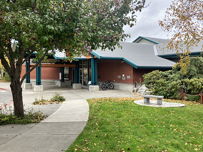 The local library proves that the most beautiful views in town aren't just of mountains and water – sometimes they're found between book covers.
