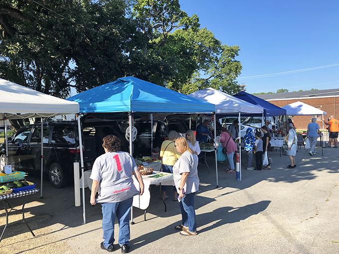 The farmers market brings neighbors together over homegrown produce, where conversations flow as freely as coffee at church socials.