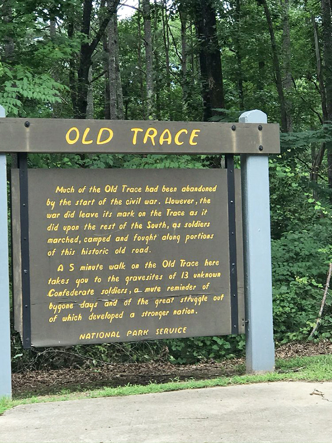 The Old Trace whispers stories of Confederate soldiers who marched these paths, a humbling reminder that history isn't always found in museums.