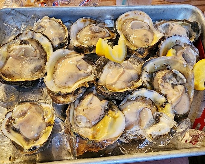Fresh oysters on the half shell, glistening like jewels. Nature's perfect appetizer, requiring nothing more than a squeeze of lemon and appreciation.
