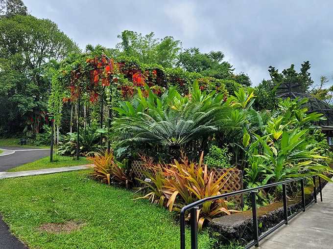 This explosion of tropical foliage makes your overgrown pandemic garden look positively restrained &ndash; Hilo's rainforest abundance on full display.