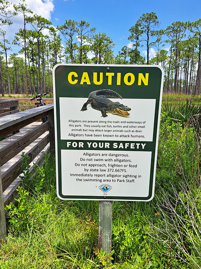 Florida's version of a "local resident" warning. Remember, in alligator country, you're just a visitor in their ancient neighborhood.