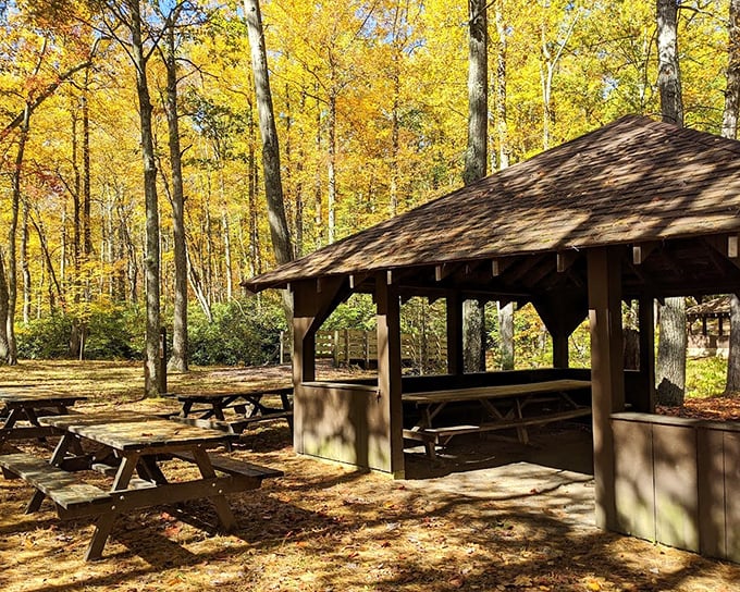 This pavilion has sheltered four generations of family reunions, church picnics, and first kisses. If these wooden beams could talk – actually, maybe it's better they can't.