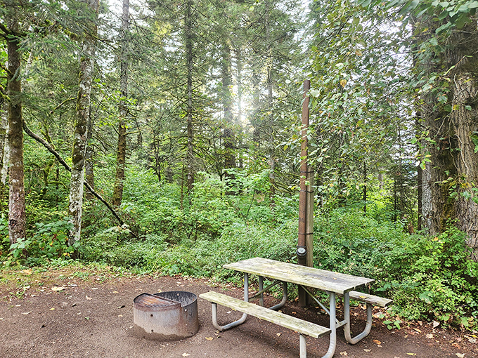 The original dinner theater: a simple picnic table, fire ring, and surrounding forest providing entertainment no Broadway show can match.