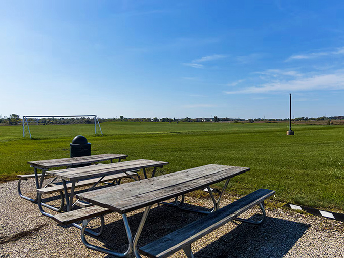 Sometimes the best attraction is simply open space. This park offers room to breathe, play, and remember what grass actually feels like.