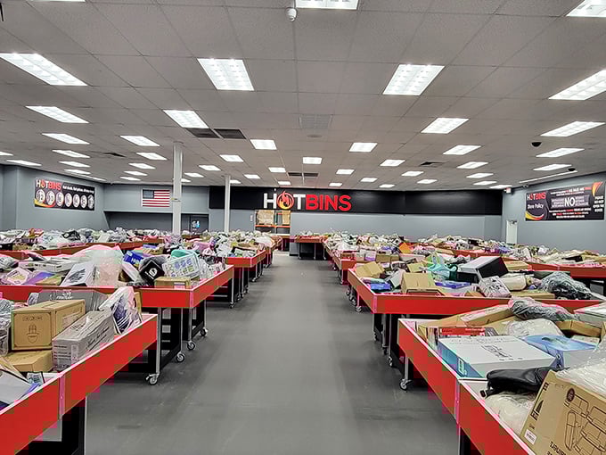 The mothership of bargain hunting: rows upon rows of red bins filled with possibilities, mysteries, and tomorrow's favorite finds.