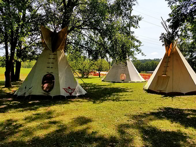 Camping under canvas tepees, because sometimes you want the frontier experience with slightly better back support than 1840.