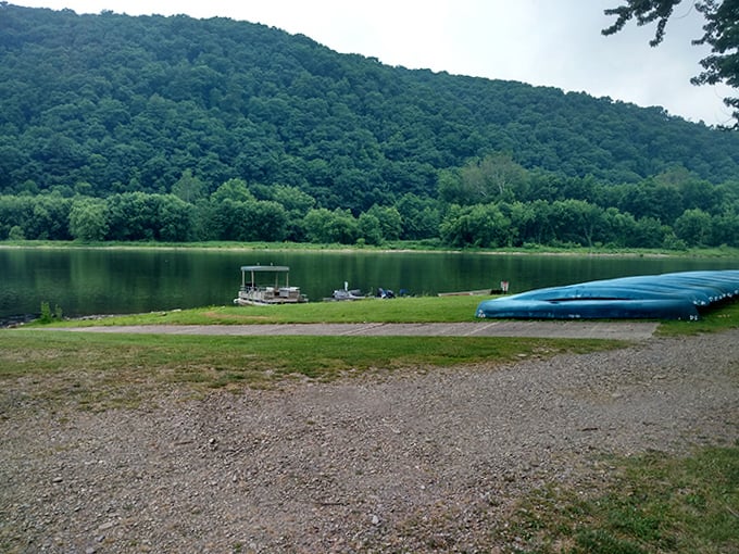 Adventure awaits at the water's edge. These canoes aren't just watercraft &ndash; they're tickets to Tionesta's most exclusive viewpoints.