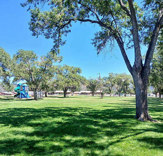 Romero Park's sprawling green space offers shade and serenity without membership fees. These trees have been providing free air conditioning longer than Social Security has existed.
