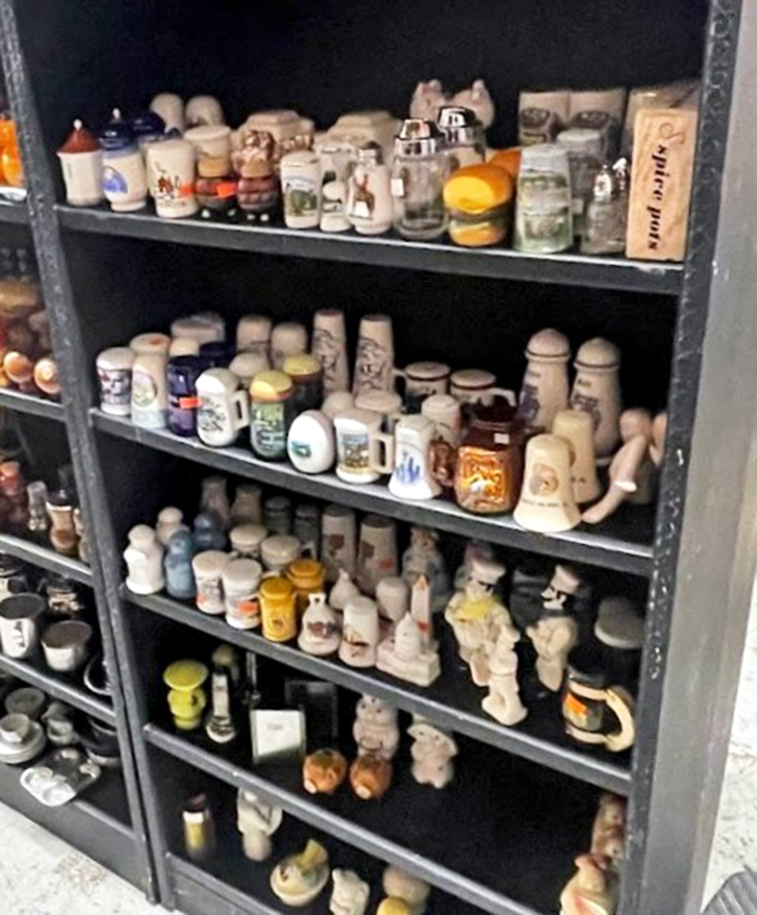 Beer steins and salt shakers standing at attention, each one representing someone's collection that finally found a new purpose.