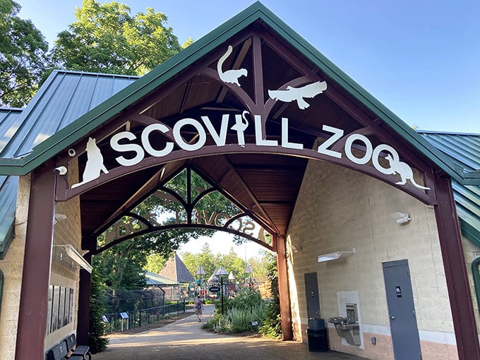 Scovill Zoo welcomes visitors through a rustic wooden archway, promising family adventures that don't require big-city prices or patience-testing traffic.