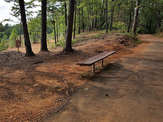 Nature provides the entertainment, this bench provides the seating. A perfect spot to catch your breath before continuing your adventure.