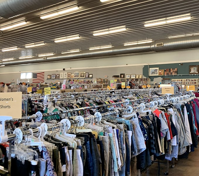 Shorts and casual wear organized with a precision that would make Marie Kondo weep with organizational joy.