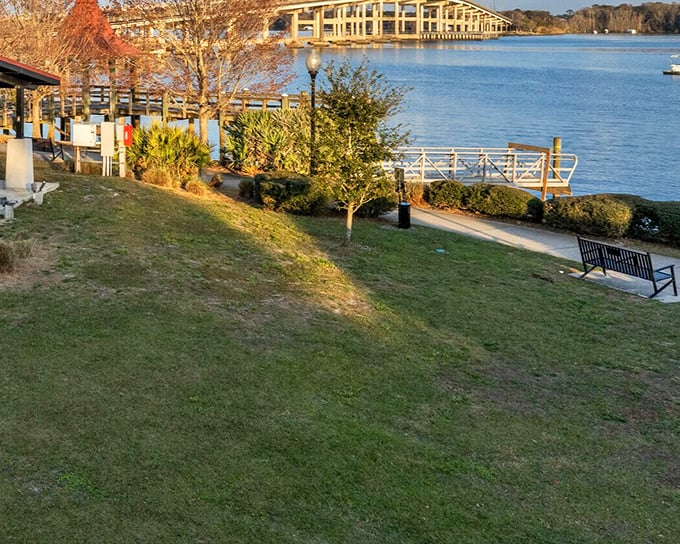 Riverside benches invite contemplation of the St. Johns' lazy current&mdash;nature's reminder that the best views don't require admission tickets.