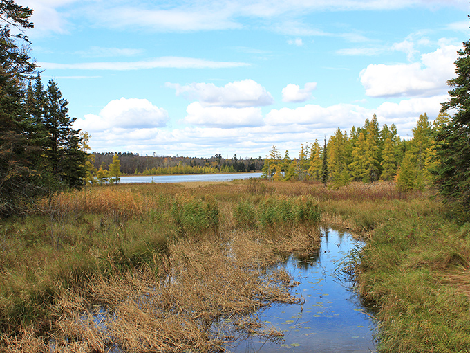 The infant Mississippi meanders through wetlands and prairie—a reminder that even the mightiest forces start somewhere small and find their way.