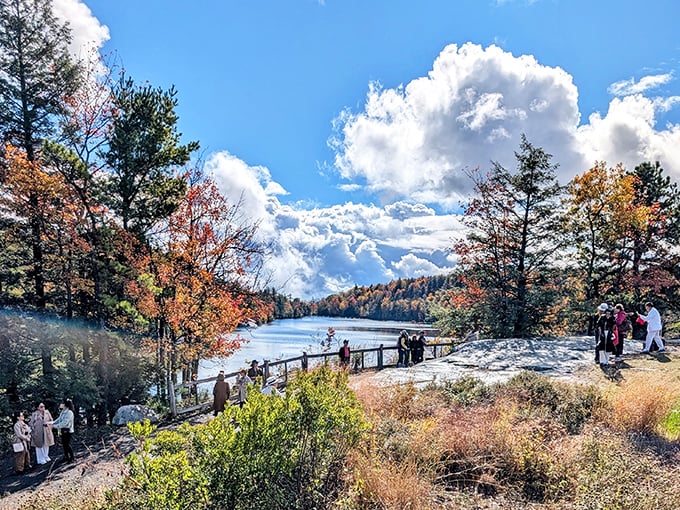 Where social media meets actual socializing. Visitors gather at one of the park's many panoramic viewpoints to share collective gasps of wonder.