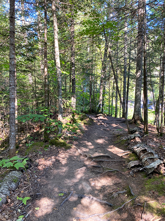This viewing platform frames the landscape like a living postcard, no filter required.