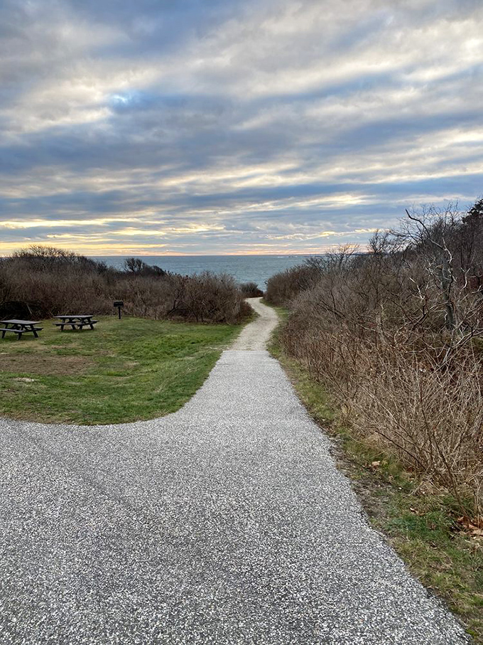 The path less traveled leads to breathtaking rewards. This trail promises adventure with every step&mdash;nature's version of "follow the yellow brick road."