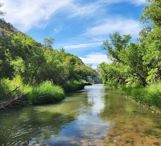 Crystal clear waters of the Verde River&mdash;where fish play hide and seek and your worries dissolve faster than aspirin.
