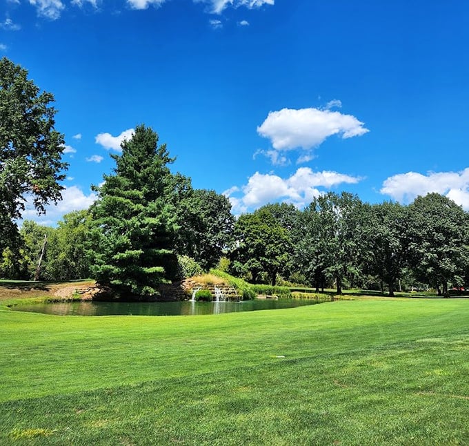 Wilkshire Golf Course showcases Ohio's natural beauty with manicured greens meeting serene water features—a landscape painting you can walk through.