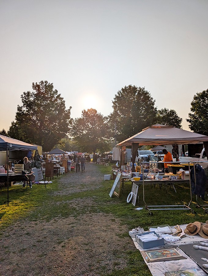 Golden hour at the market casts a magical glow over the pathways, transforming ordinary objects into treasures waiting to be discovered.