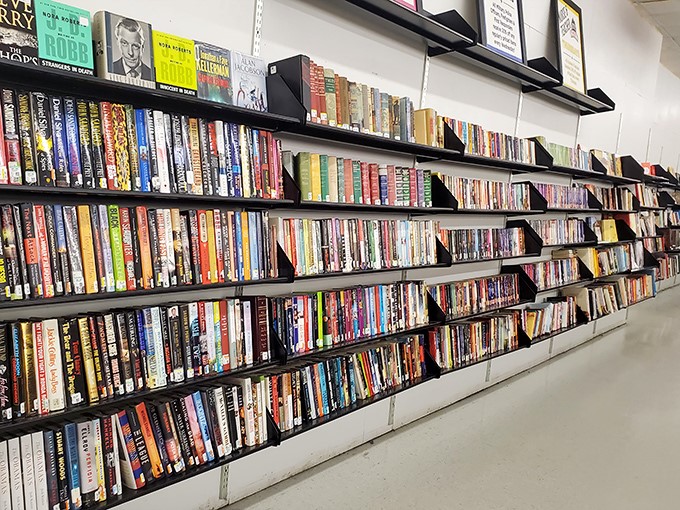 A library of possibilities where dog-eared paperbacks and forgotten bestsellers offer literary journeys for mere pocket change.