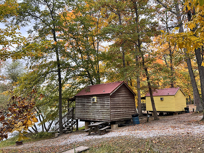 Rustic lakeside cabins that make you want to write that novel you've been putting off. Writer's block doesn't stand a chance with this view.