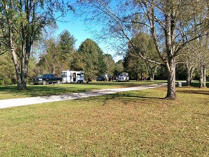 Campground social distancing, Kentucky-style—close enough for a friendly wave, far enough for your own slice of tranquility.