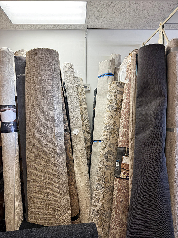 Area rugs stand at attention in every pattern imaginable, ready to tie any room together beautifully.
