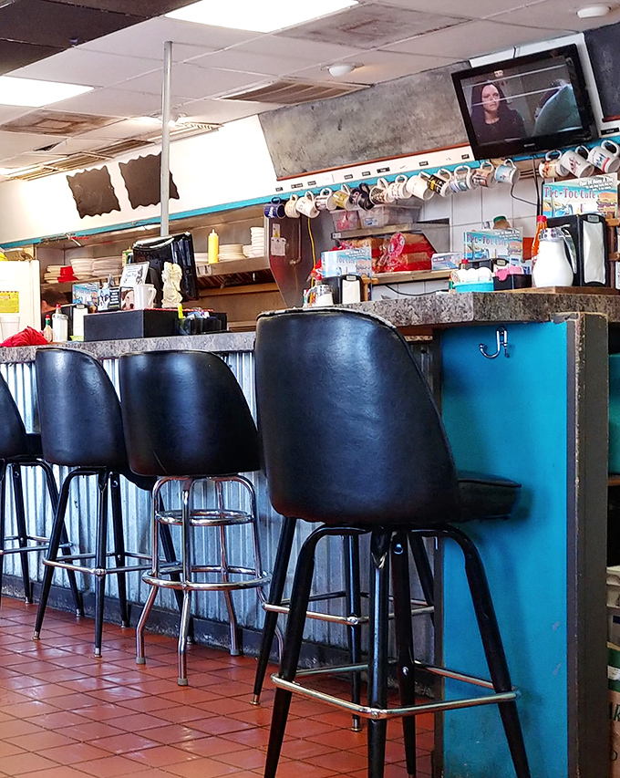 Classic counter seating where regulars perch like birds on a wire, watching the kitchen ballet while coffee cups never reach empty.